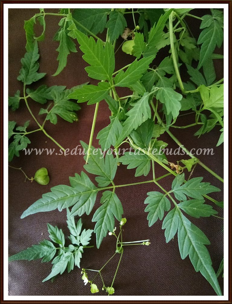 Mudakkathan Keerai Paniyaram Recipe - Seduce Your Tastebuds...
